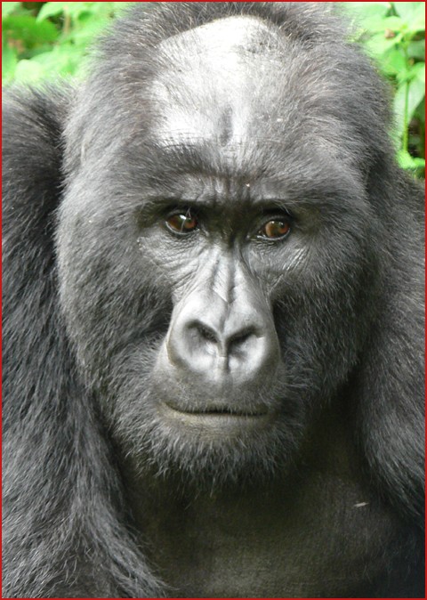 Funny Things: PROOF!?!!