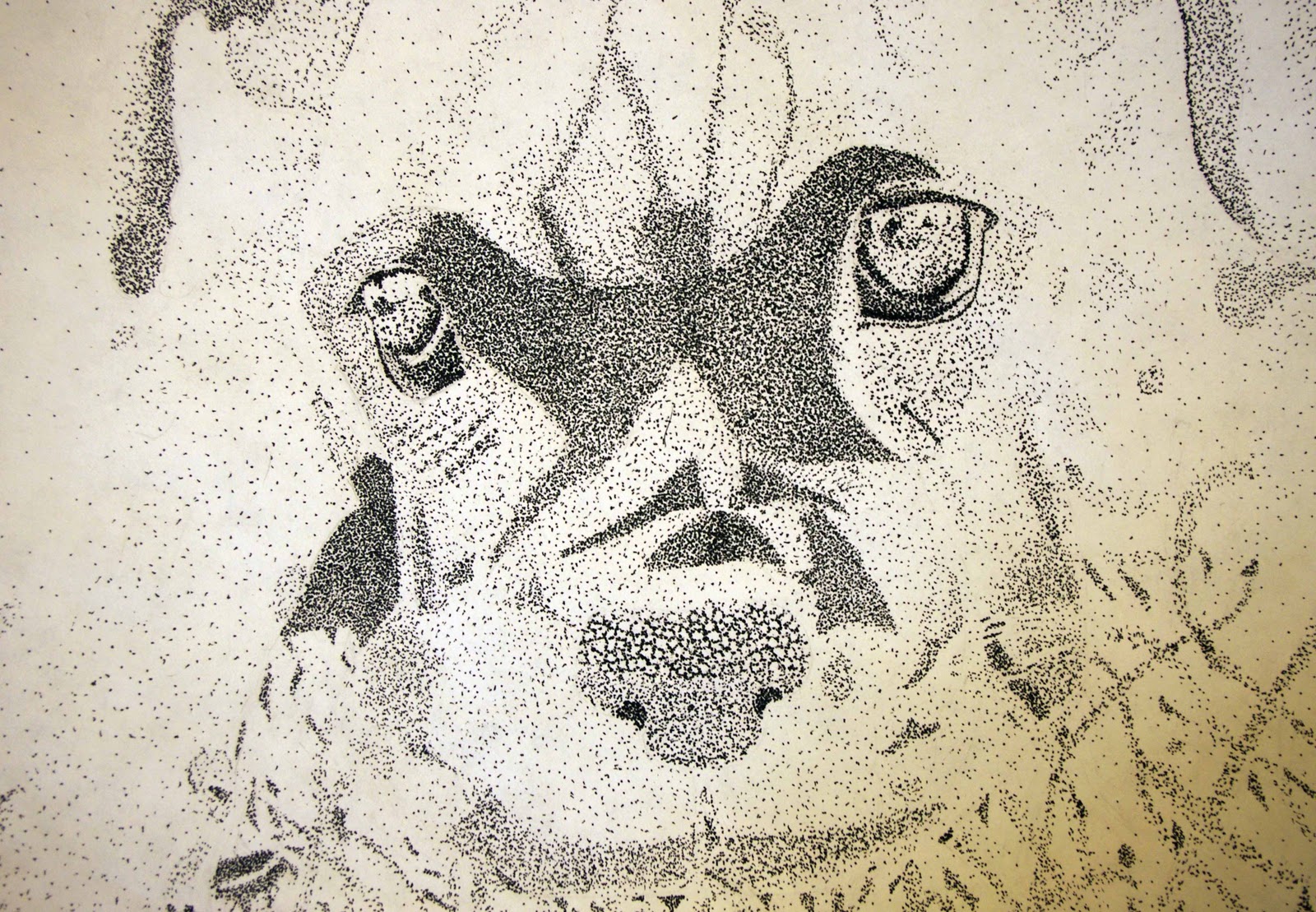 art @ the heart: Grade 9-10 Stipple Animals