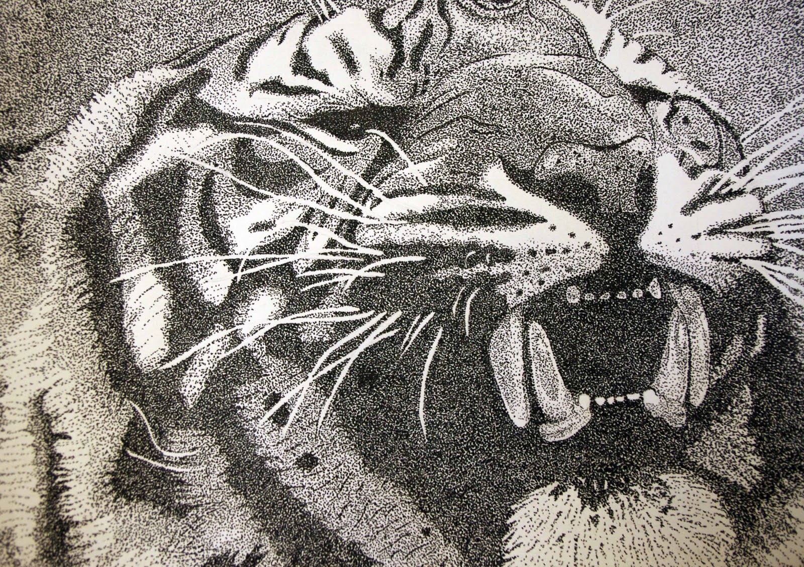 art @ the heart: Grade 9-10 Stipple Animals