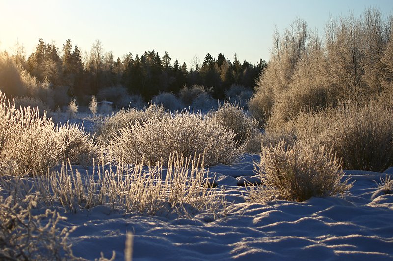 ANTI loodusfotod: Talvine maastik, wintry landscape