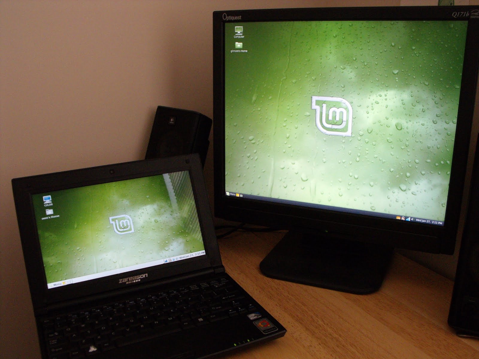 quantum interface: Linux Mint 8 - Helena