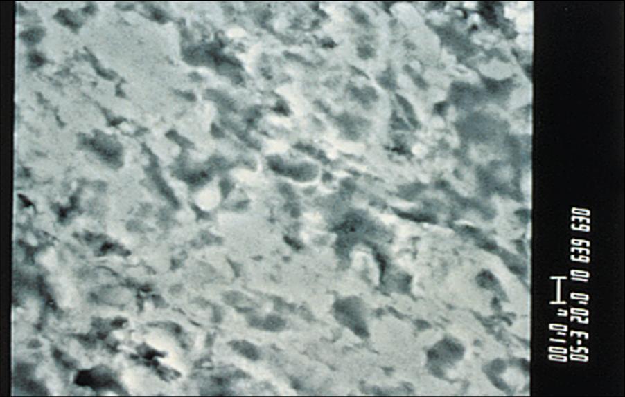 Friction Lube: Friction Reducing Technologies – Fact or “Friction”