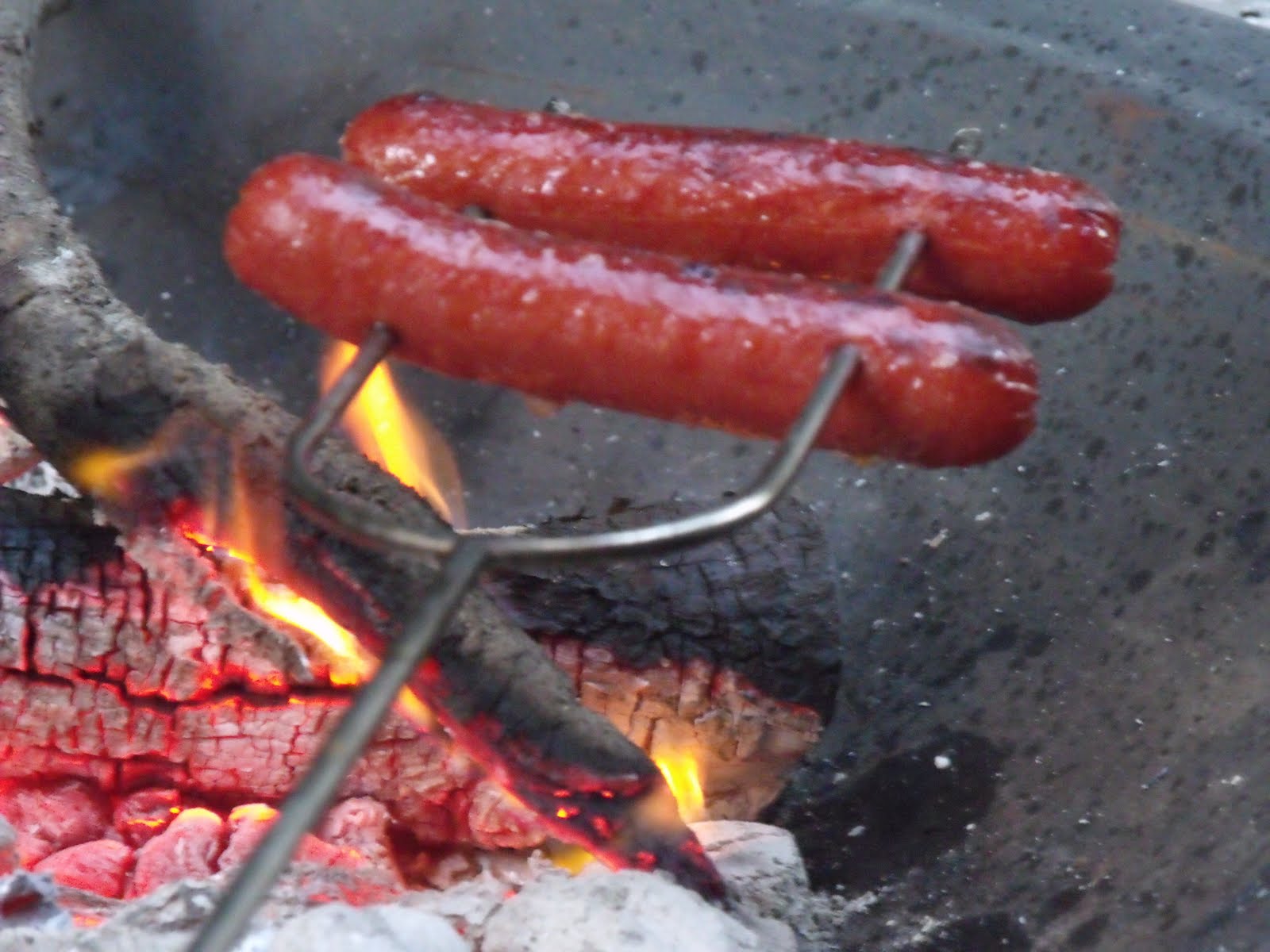 And they think there's a beach here.: Weenie Roast