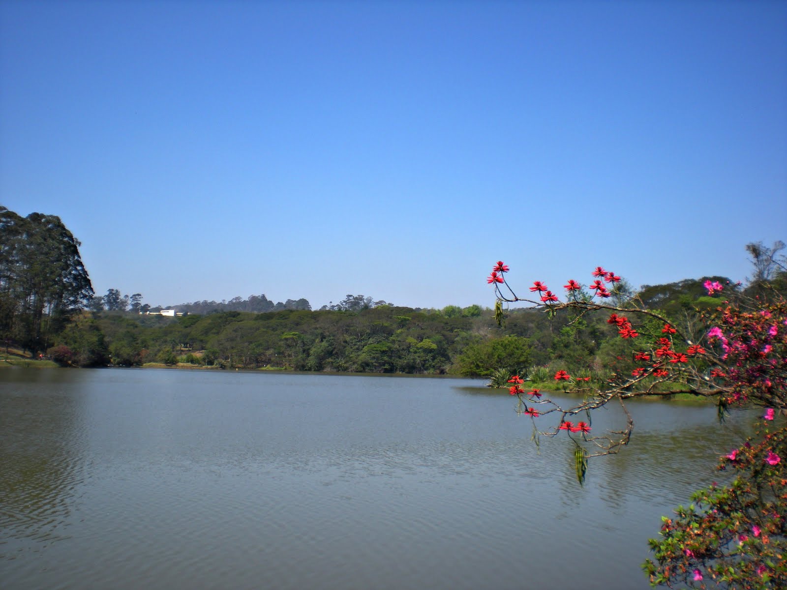 AlcBlog: Ainda ''viajando'', só que desta vez dentro de São Paulo ...