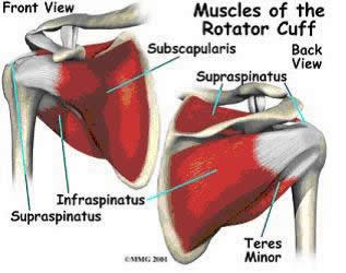 Fast Twitch Fitness: Exercise of the Week: Subscapularis Stretch