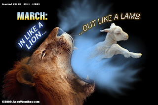 News 8 Weather Blog: 3/1/09 - 3/8/09