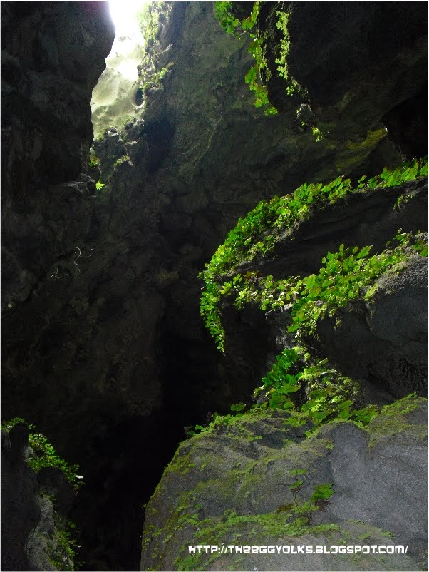 THEEGGYOLKS 蛋黃打点滴: The Mystical Myth : Sylph of Kuching