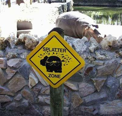 Funny Pictures: Hippo Splatter Zone