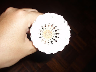 Borneotip: RCL Titanium Shuttlecock Review