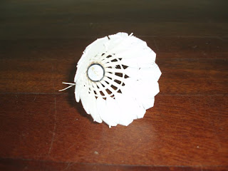 Borneotip: RCL Titanium Shuttlecock Review