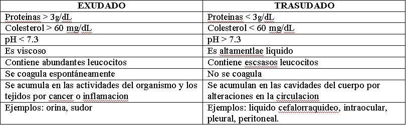 The House's Mind: Exudados y Trasudados