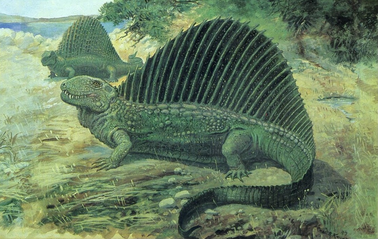 TeleExpress: El mundo perdido de Charles R. Knight