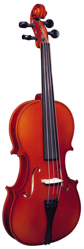 Viulu: Ensimmäinen viulu