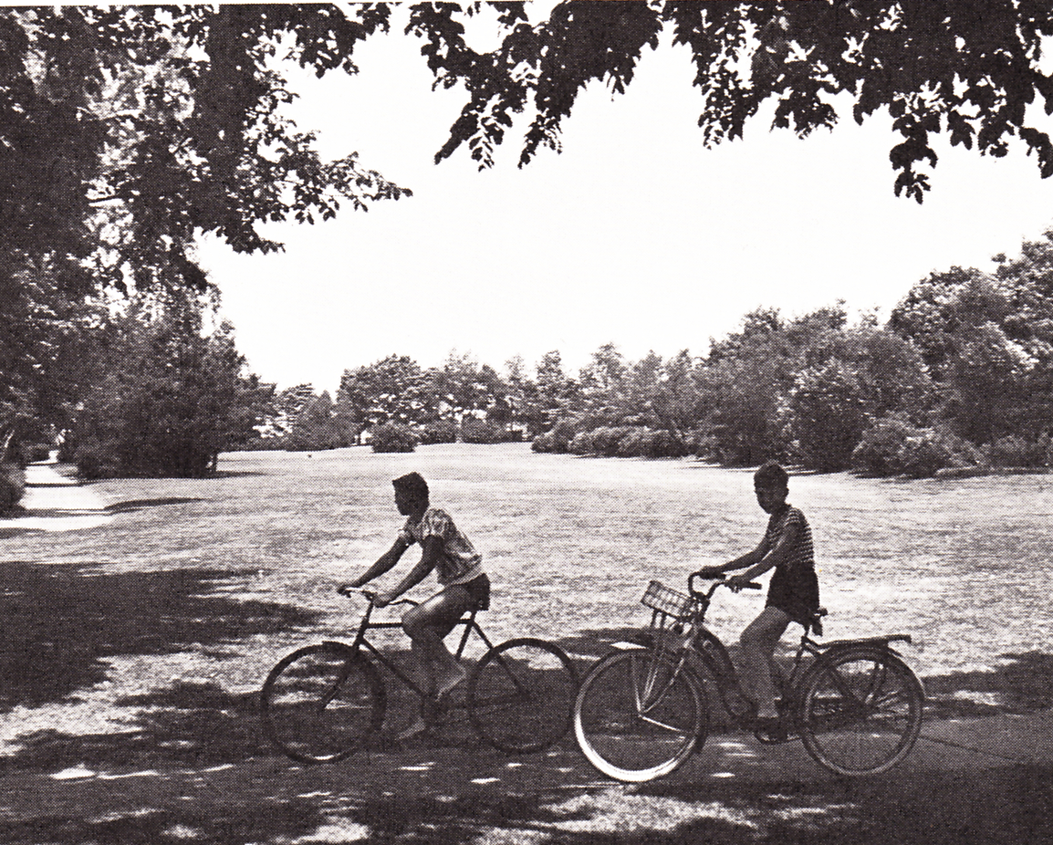 Sustainable Housing and the Legacy of Clarence Stein