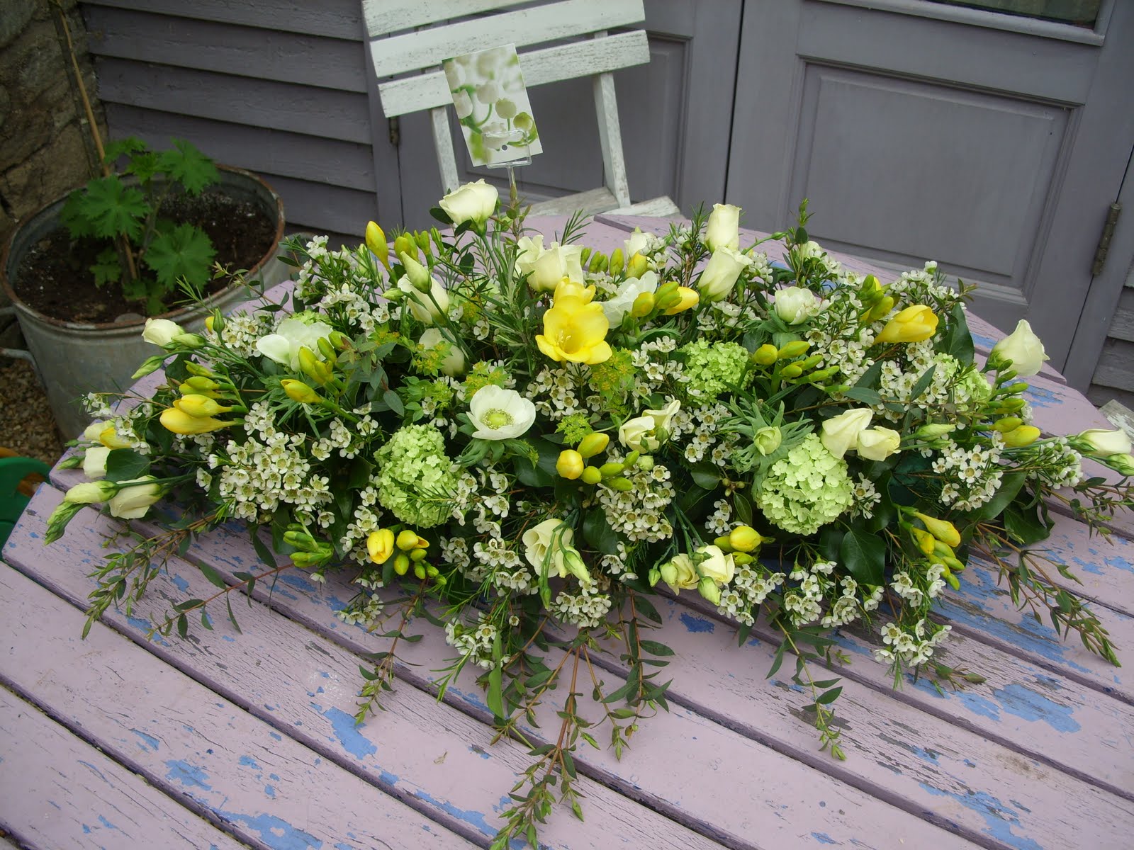 Foxtail Lilly: April 2010