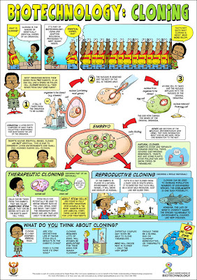 The Fabulous 6: Images about therapeutic cloning