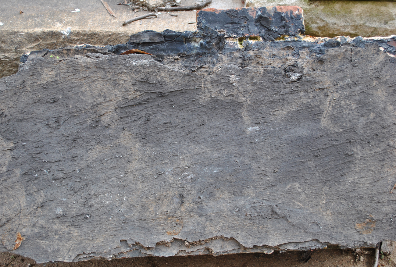 FREE TEXTURE SITE: Free Dried Tar Texture