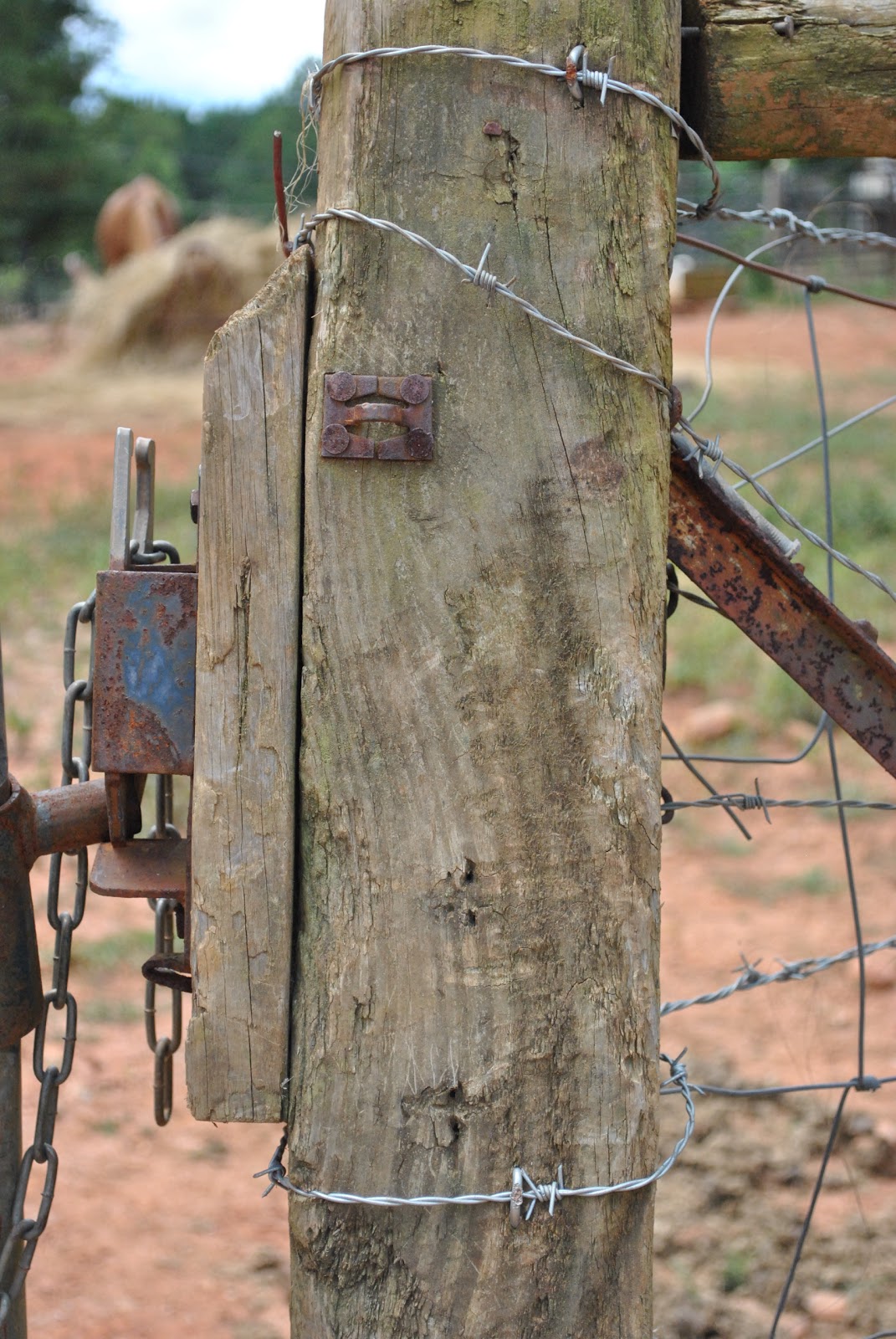 FREE TEXTURE SITE: Free Wood Post Texture