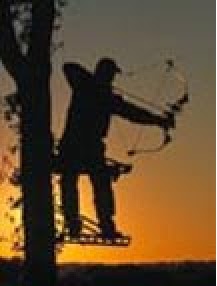 Rants and Rambleings of addicted Bow Hunter: Random Thoughts and ...