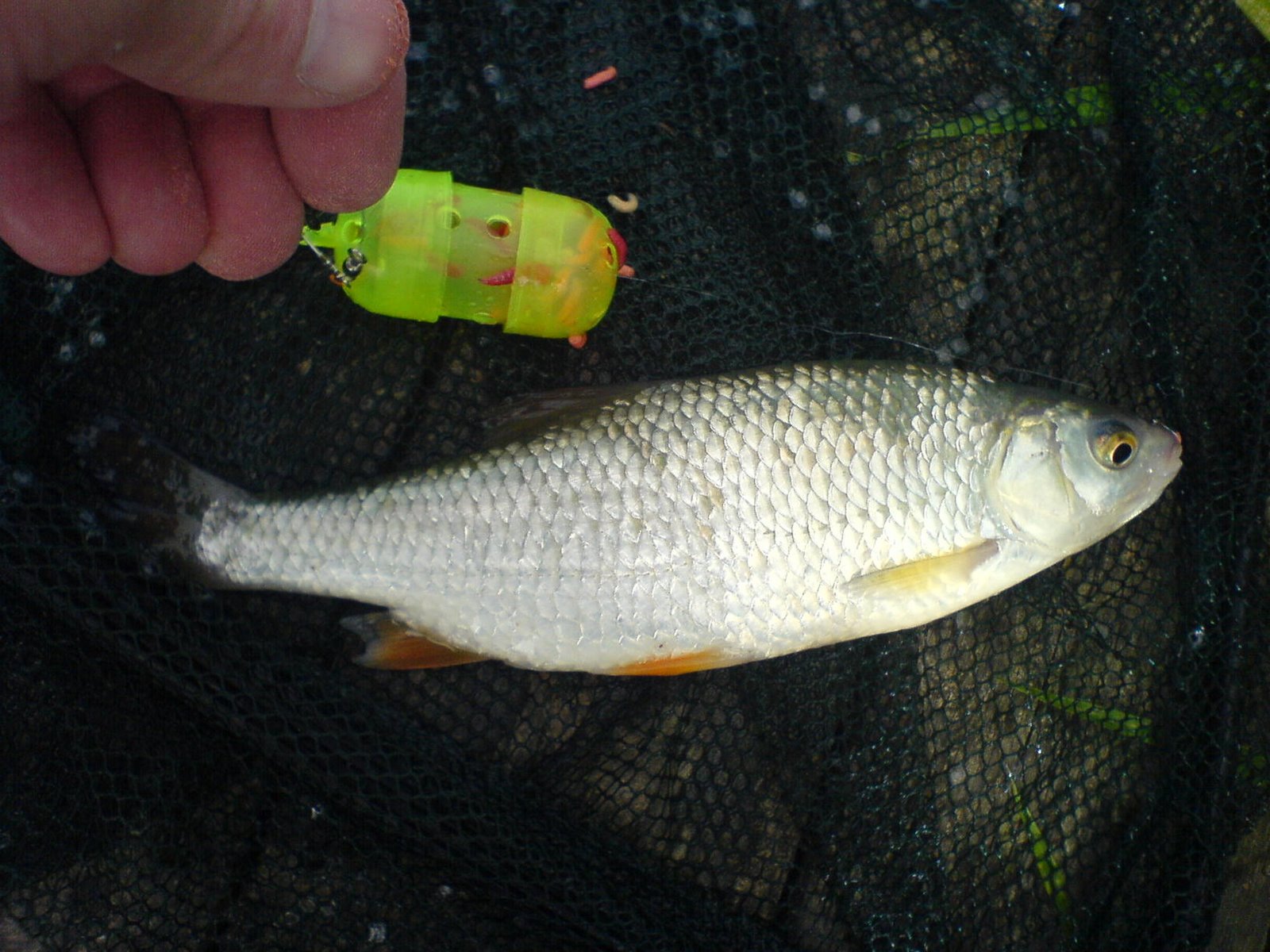 fishing « s20steve's Blog