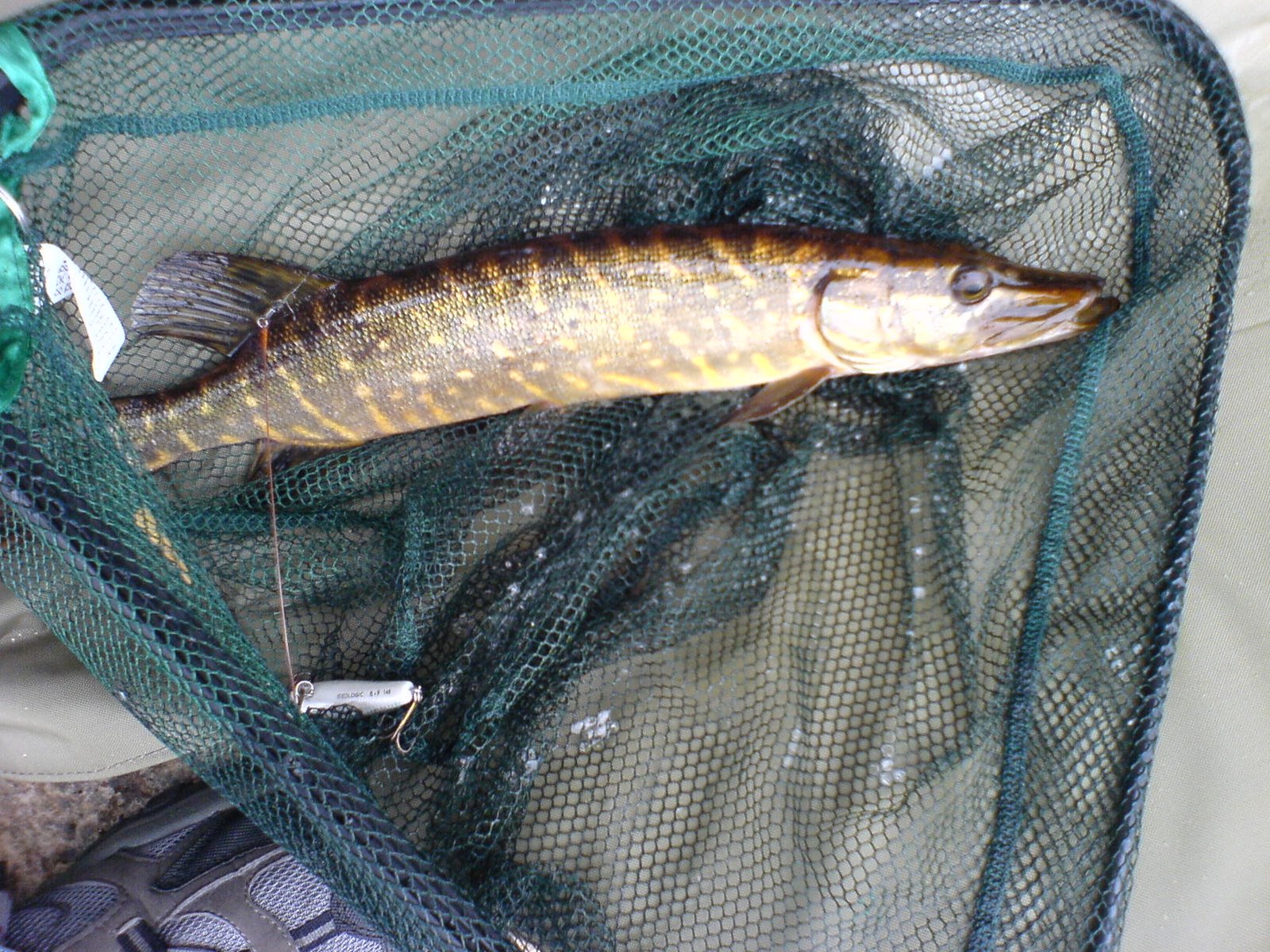 fishing « s20steve's Blog