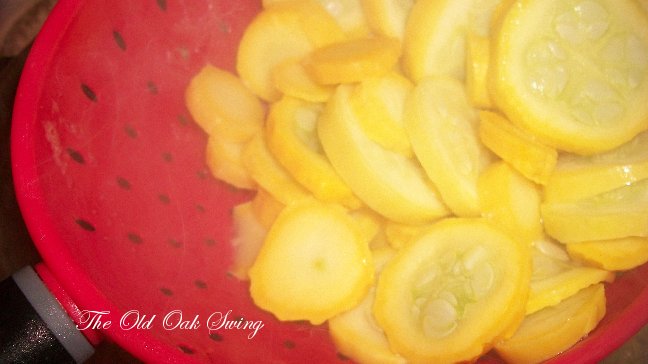 The Old Oak Swing: Preserving The Harvest - Freezing Yellow Summer Squash