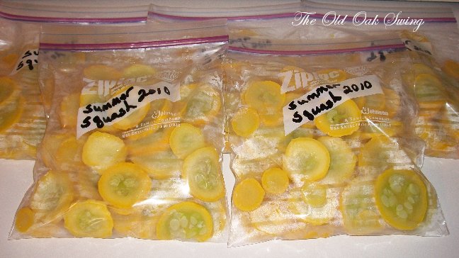 The Old Oak Swing: Preserving The Harvest - Freezing Yellow Summer Squash
