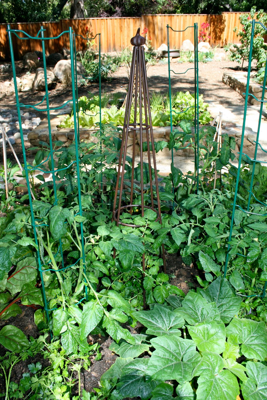 The Polished Pebble: Vegetable Garden Ideas