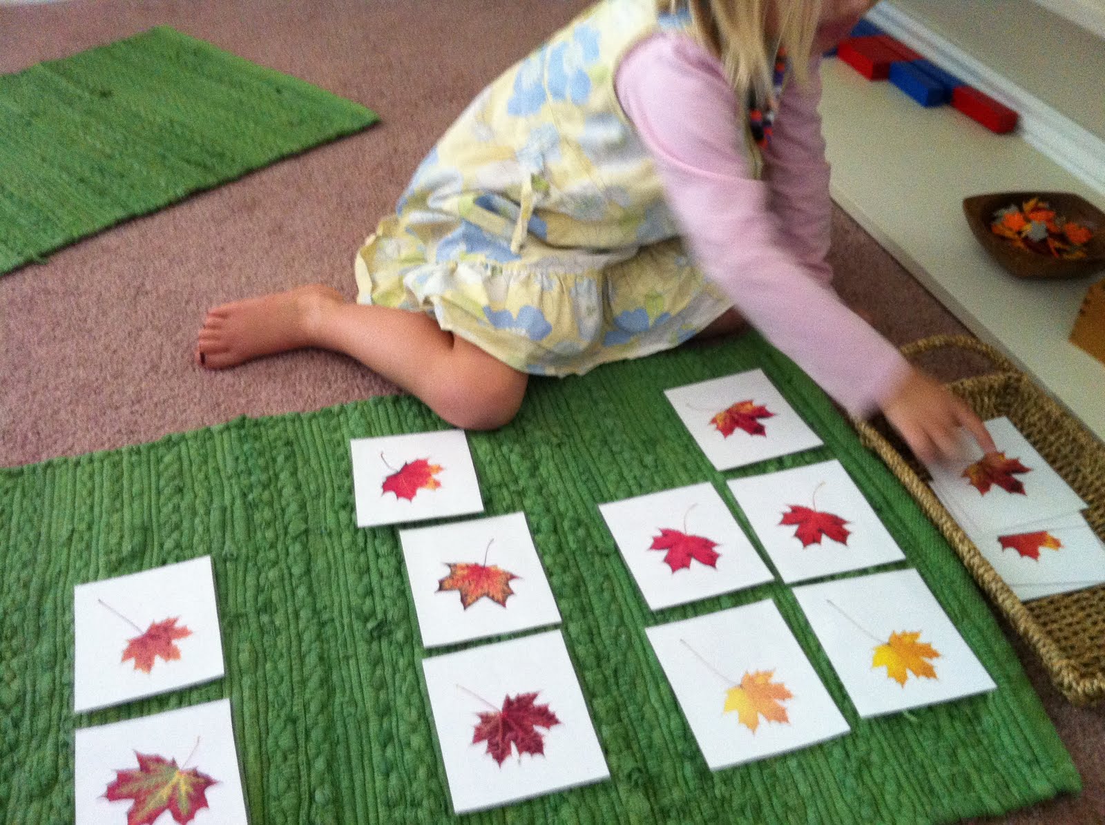 Children's Garden Montessori Preschool: November/Autumn Works