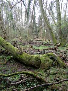 Faith Formation : 2011-01-09