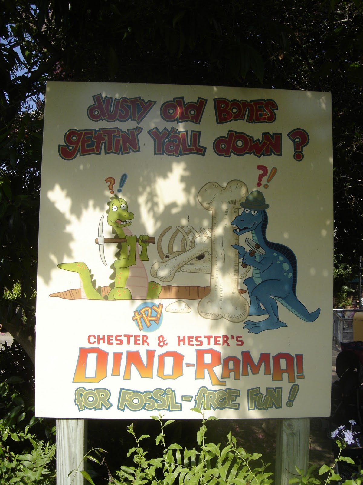 Disney Vacation Kingdom: Dinoland Signs