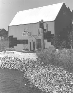 Disney Vacation Kingdom: Neon Armadillo