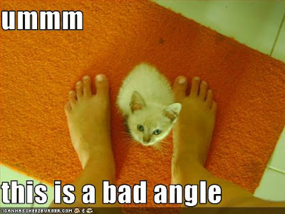 A Kitten Looks at You From Bad Angle | Funny Little Thing