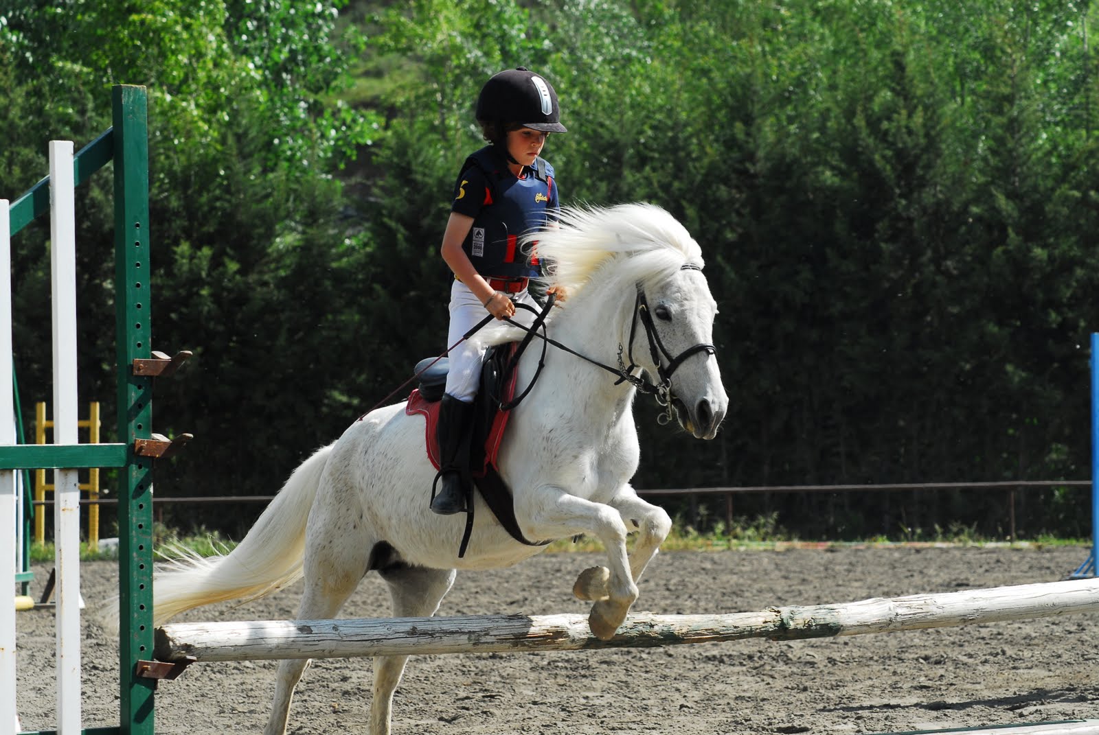 CLUB HÍPICO DE CENES: CONCURSO DE PONIS