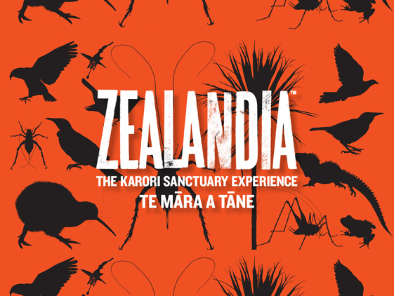 WHAKAIRO: AOTEAROA ART & DESIGN: NZ Design
