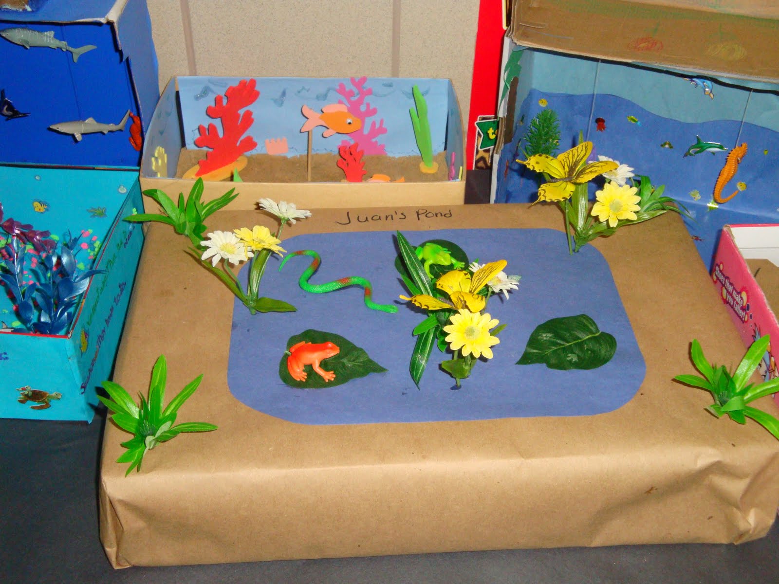 Learning Adventures: Ocean and Pond Habitats