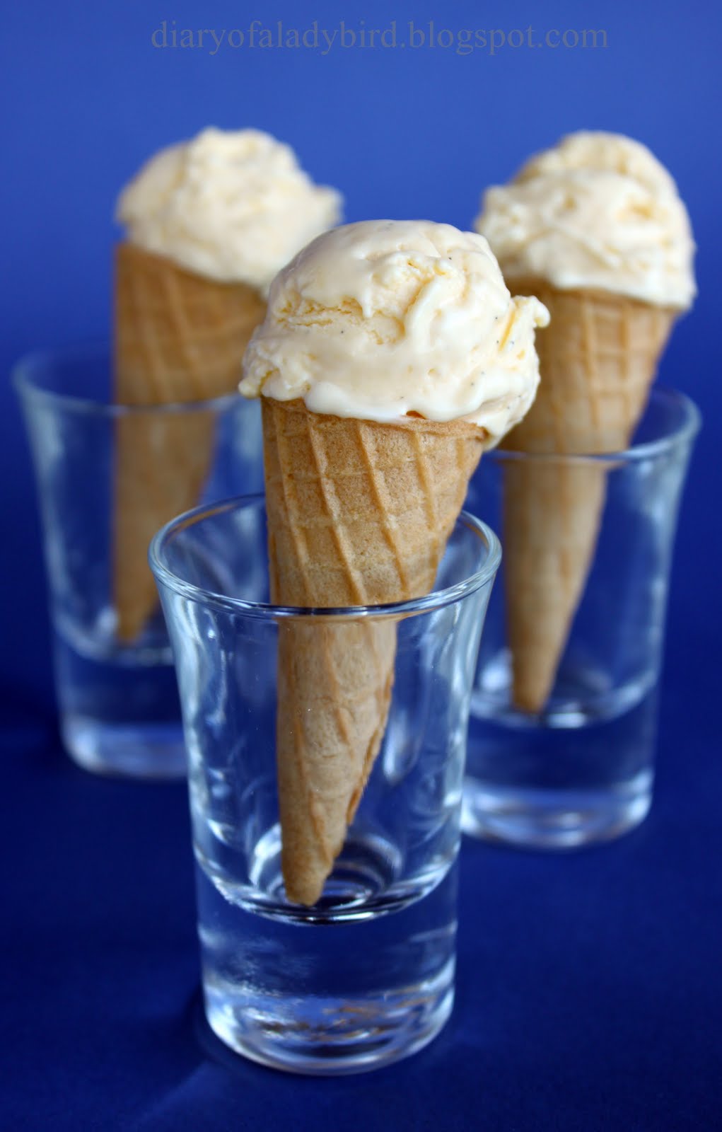 Diary of a Ladybird: Classic Vanilla Ice Cream