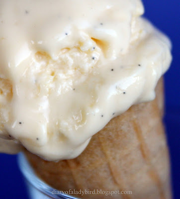 Diary of a Ladybird: Classic Vanilla Ice Cream