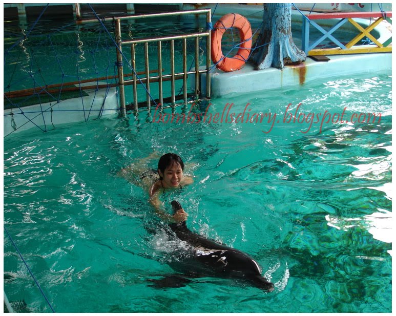 Diary of the Brainy Bombshell: Swimming wif Dolphins