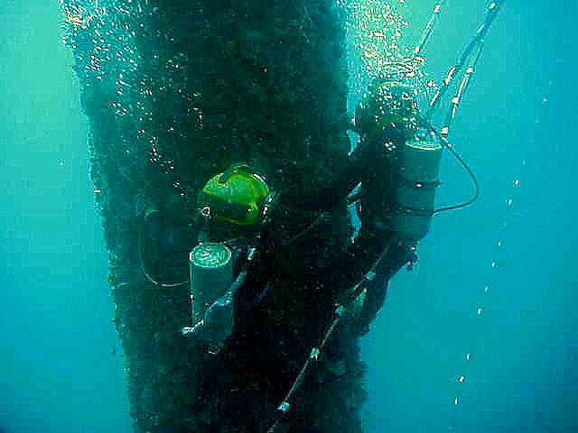 Traveling Marine Biologist: Cal Dive Commercial Scuba Divers; a Mental ...