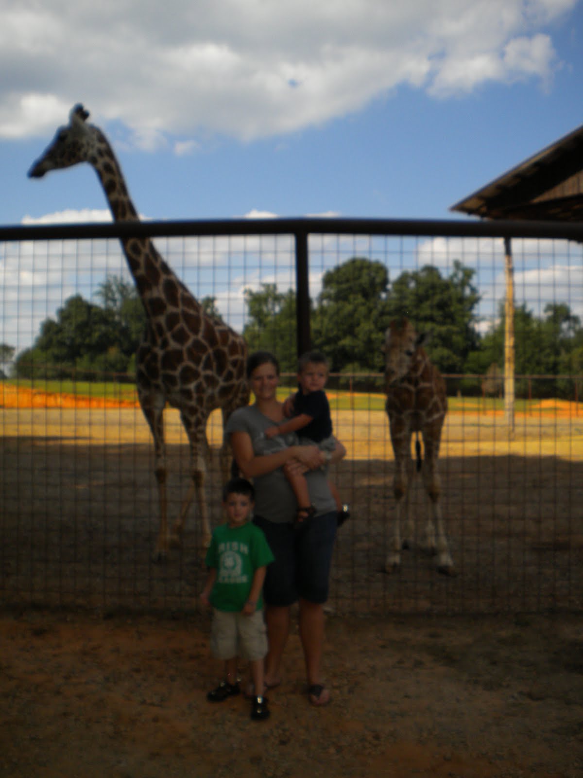 The Whatcott Family Stories: Lazy 5 Ranch