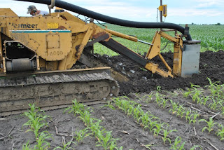 Corn Corps: TILING OFFERS QUICK RETURN ON INVESTMENT