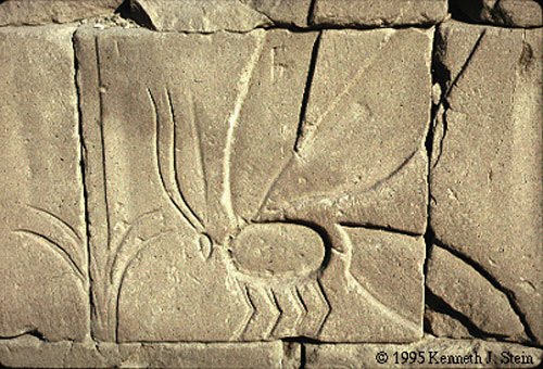 Blue Terracotta: The Honey Bee in the Ancient World