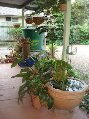 Spring - regeneration, stillness and babies | down to earth