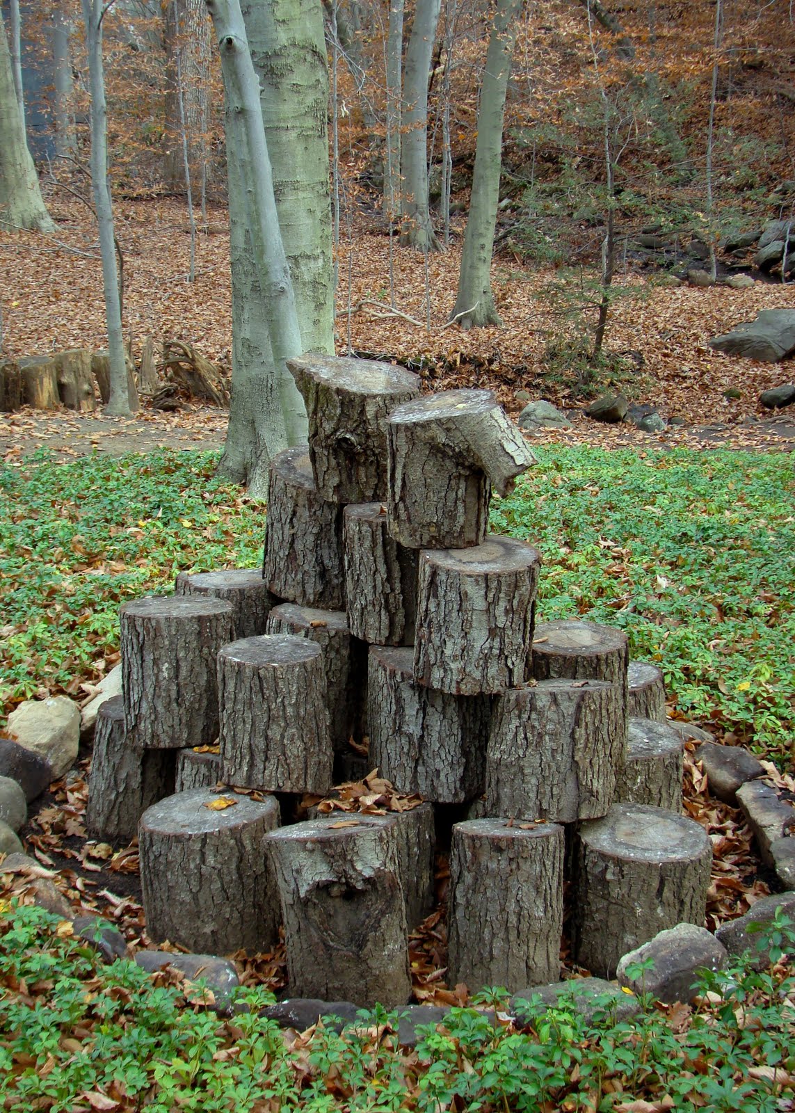 Landscaping Ideas Around Tree Stumps