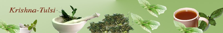 TULSI - India's 'Holy Basil'