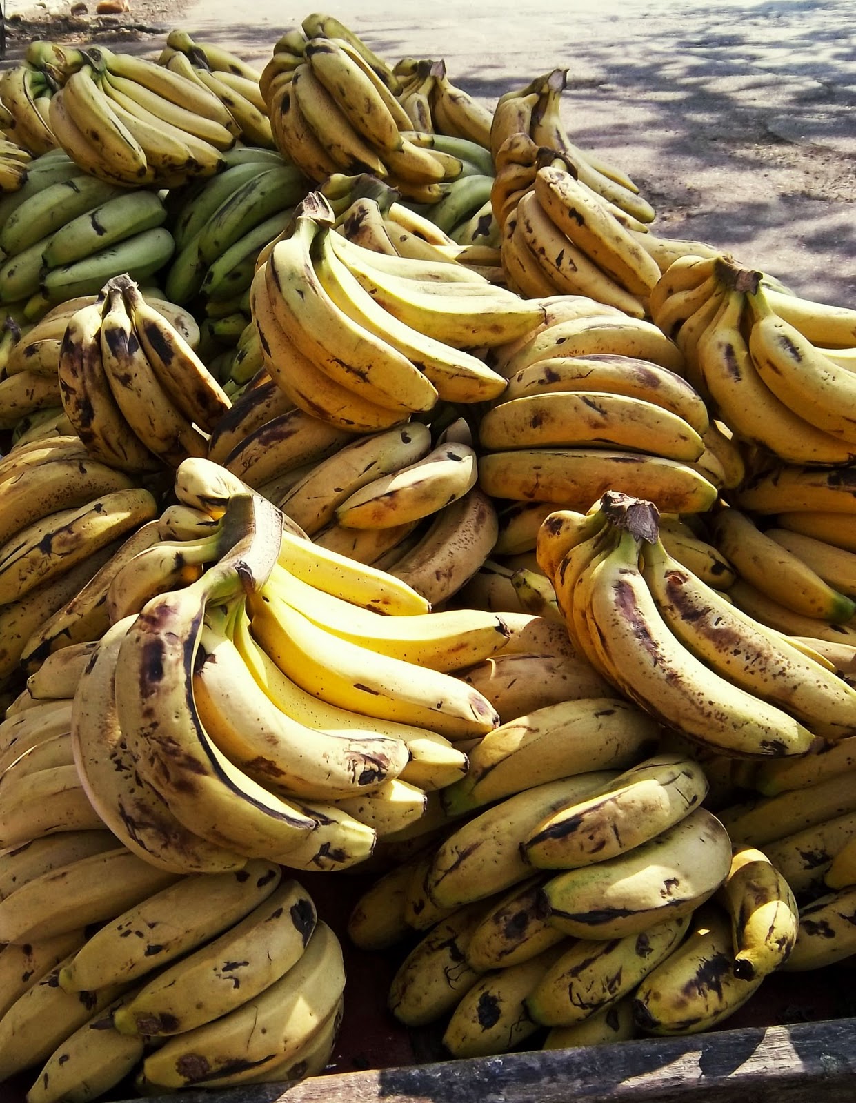 Stock Pictures: Bananas - free stock photos and sketch