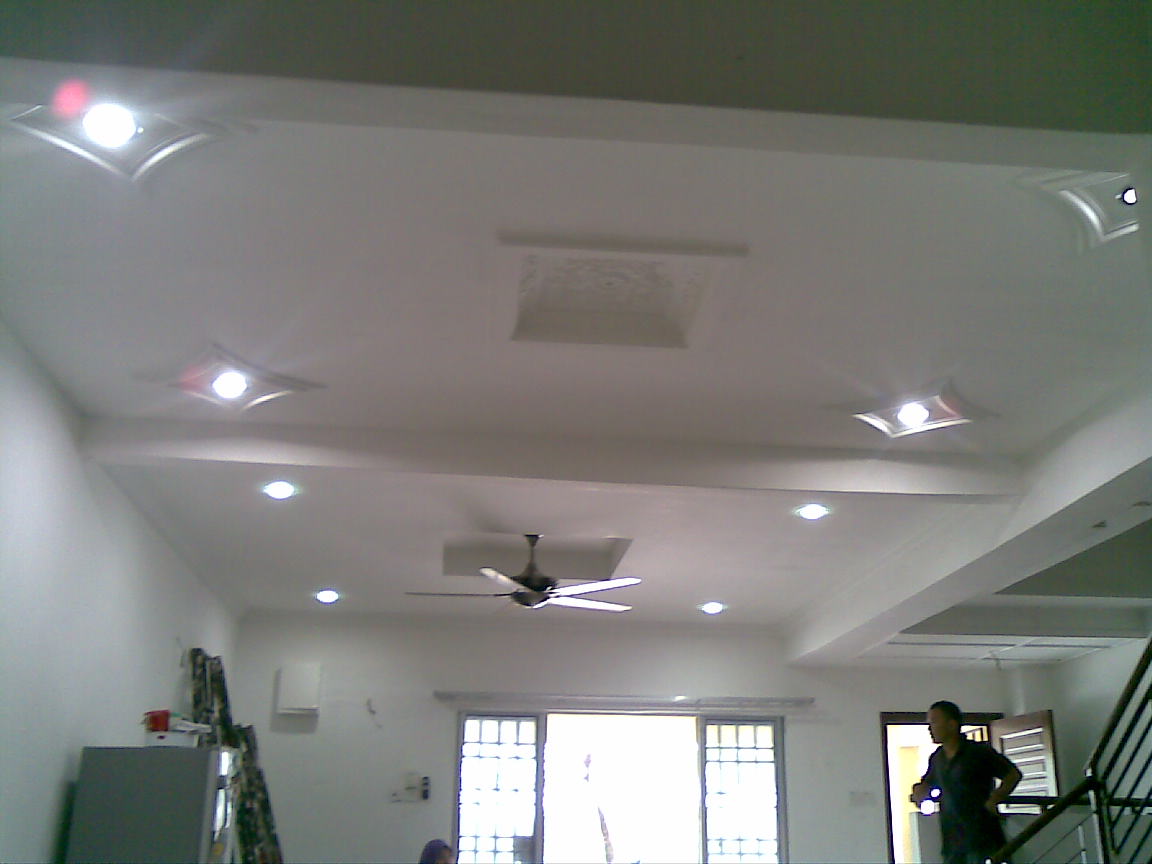 Plaster Siling/Specialist Plaster Ceiling (SBDICE): 9/12/10 - 9/19/10