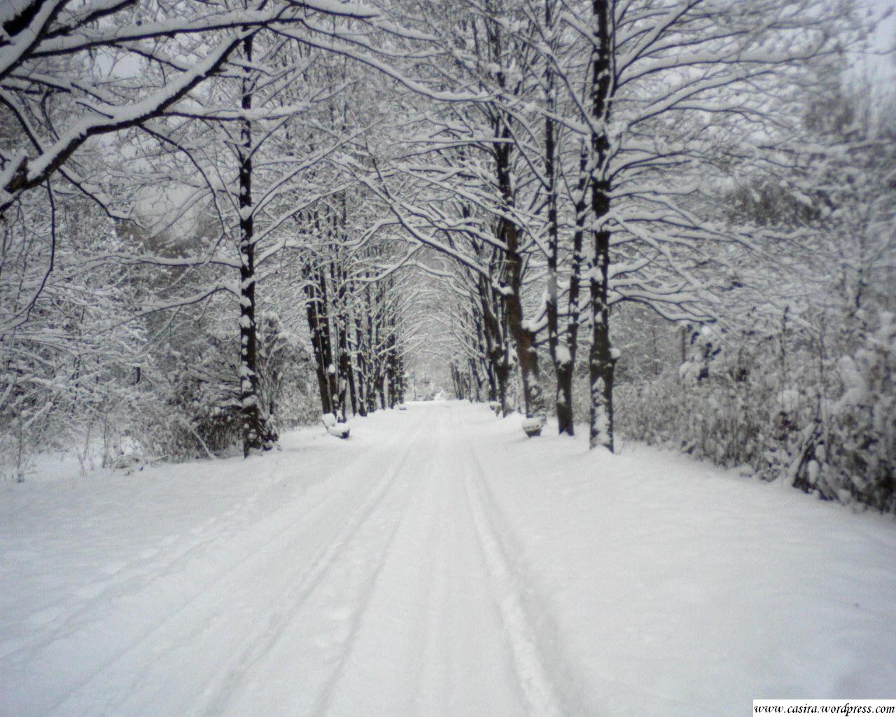DaR ToTuShI: Prima zapada