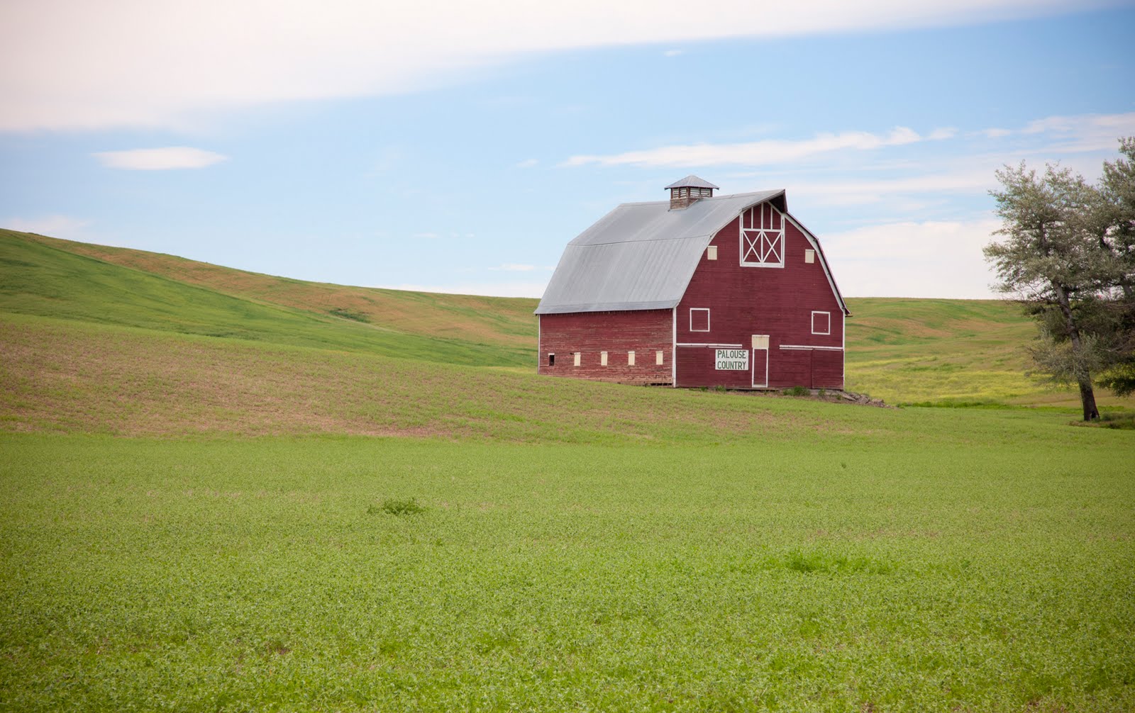 White Mountain Photography News: Loose in the Palouse